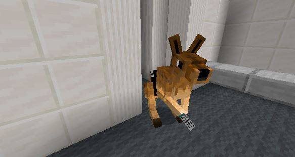 emotional support kangaroo - Gallery - Minecraft Bedrock Addons ...