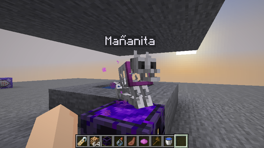 revived pet - Gallery - Minecraft Resource Packs - CurseForge