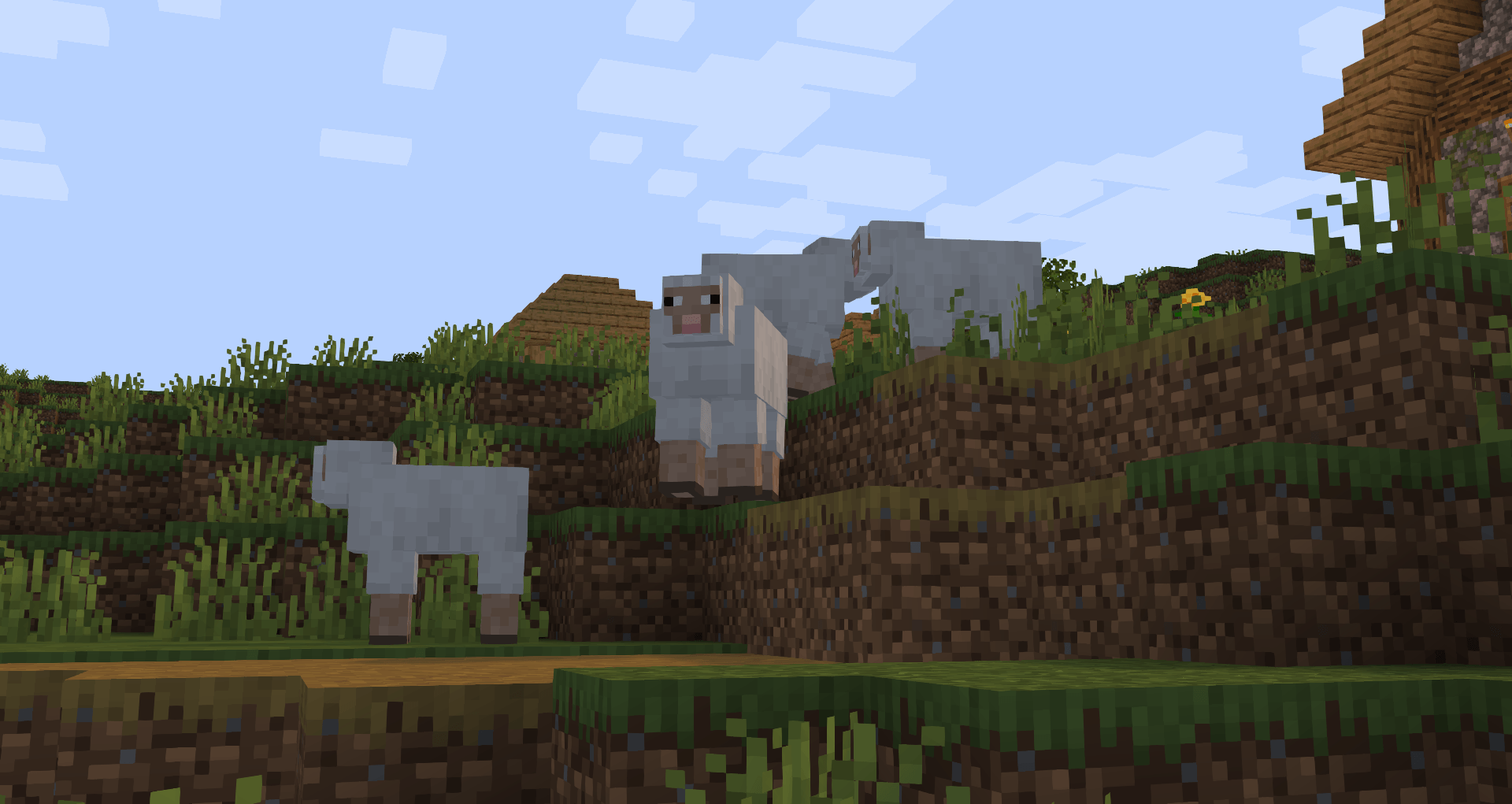 Pumpkin - Gallery - Minecraft Shaders - CurseForge