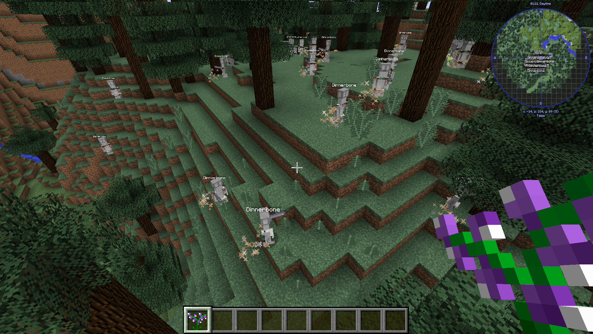 Captain's Wolves - Gallery - Minecraft Mods - CurseForge