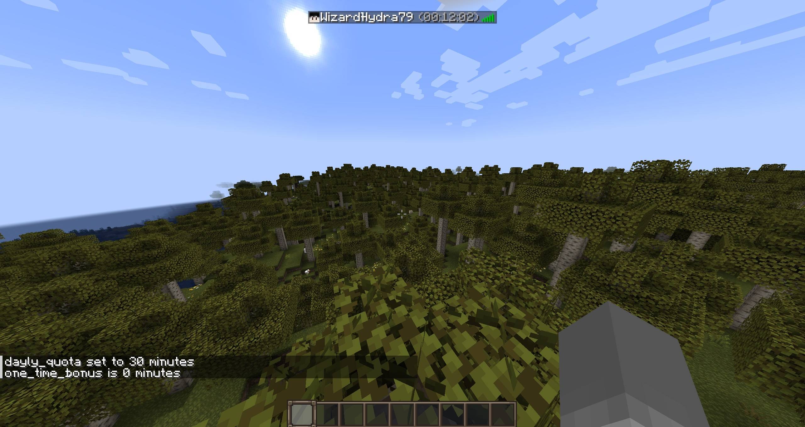 Custom Playtime Limiter - Minecraft Mods - CurseForge