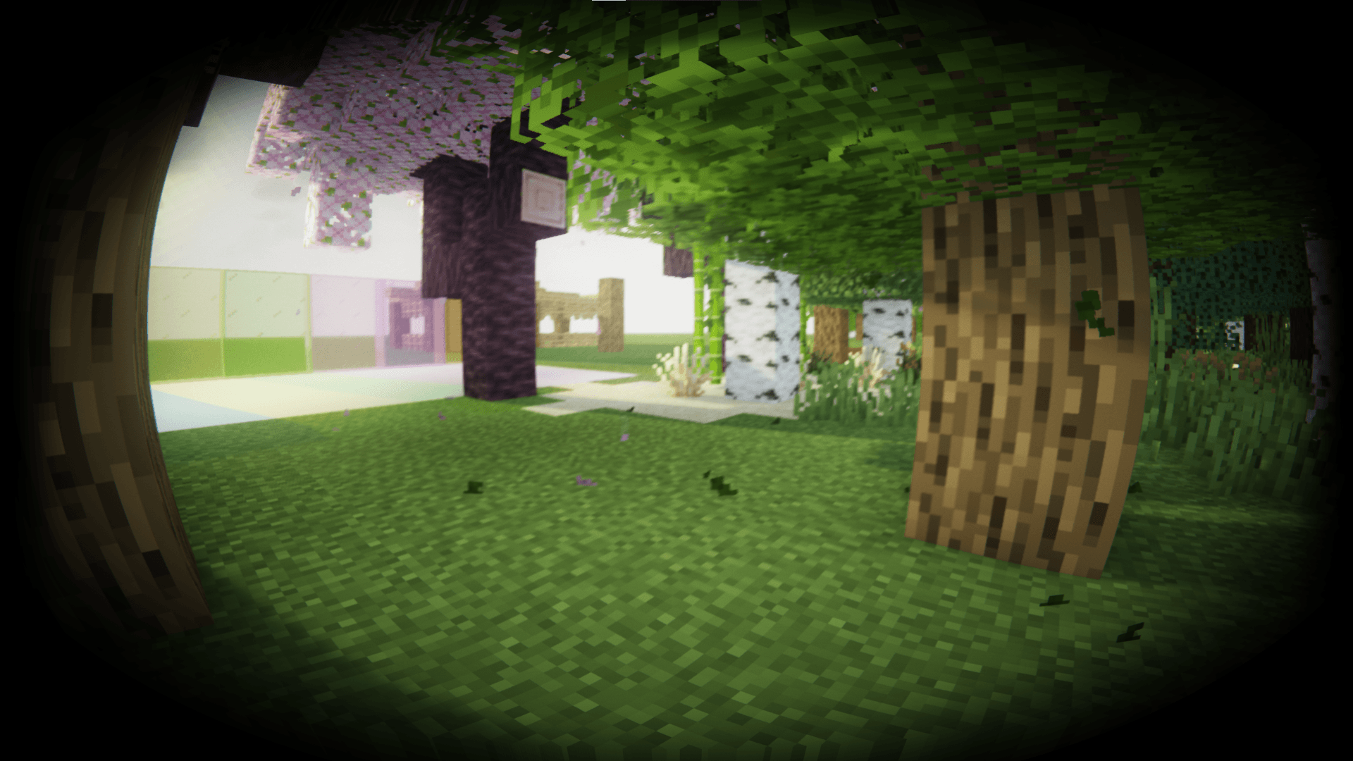 Body Camera Shader (MakeUp Edit) - Minecraft Shaders - CurseForge