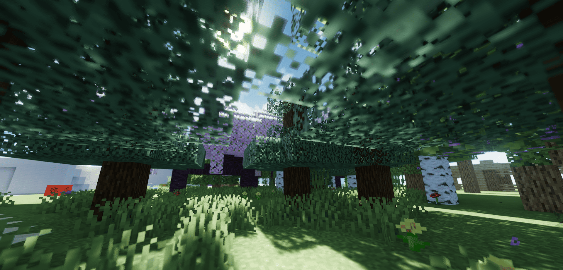 Body Camera Shader (MakeUp Edit) - Minecraft Shaders - CurseForge