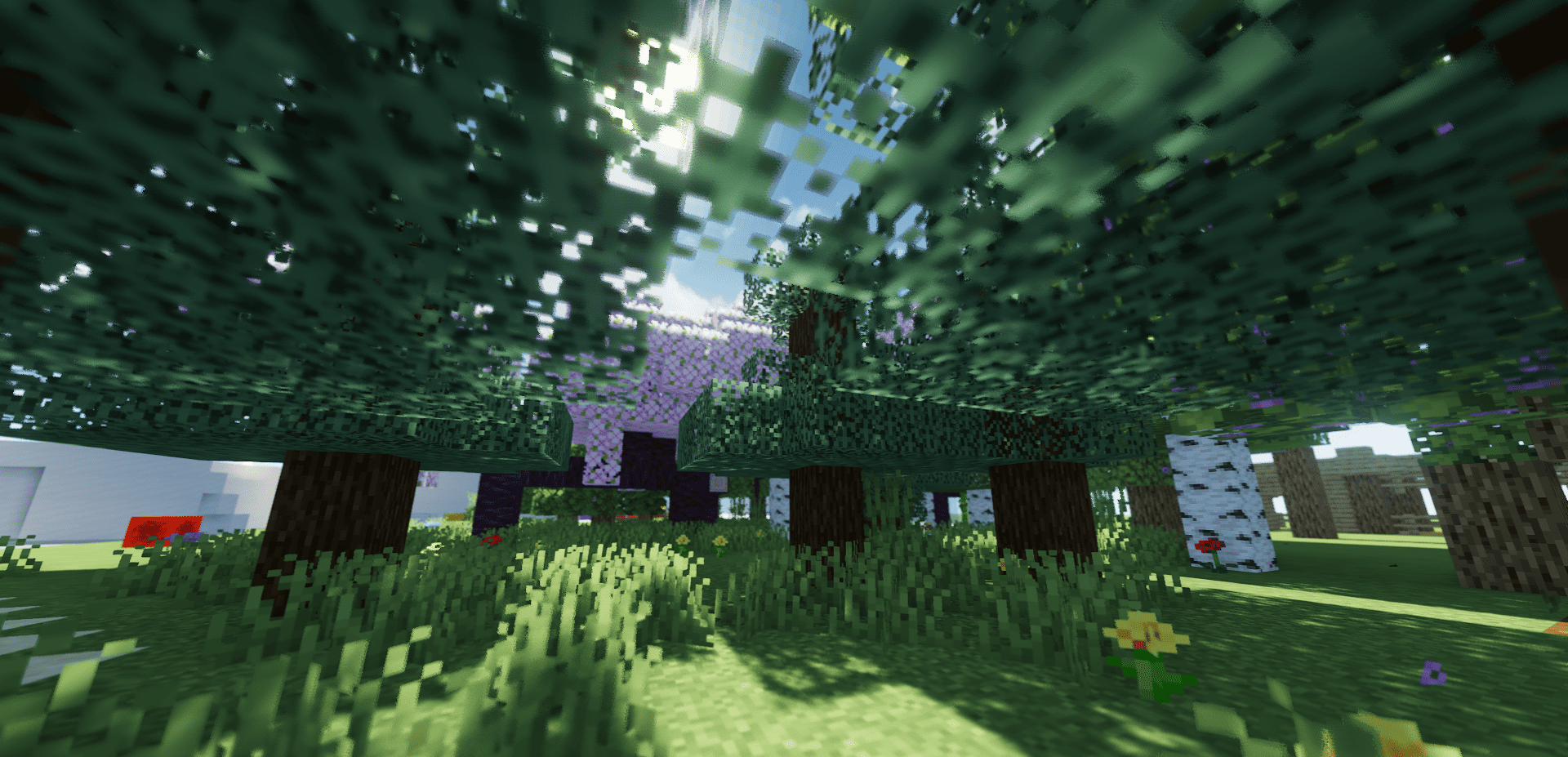 Body Camera Shader (MakeUp Edit) - Minecraft Shaders - CurseForge