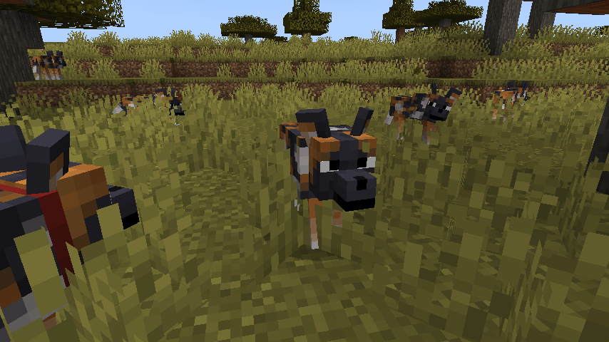 Fresh Animations Patch - Boy Why You So Ears - Gallery - Minecraft ...