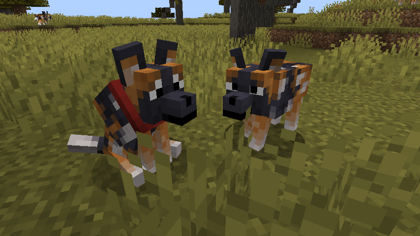 Fresh Animations Patch - Boy Why You So Ears - Gallery - Minecraft ...