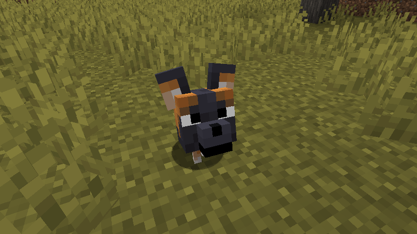 Fresh Animations Patch - Boy Why You So Ears - Gallery - Minecraft ...