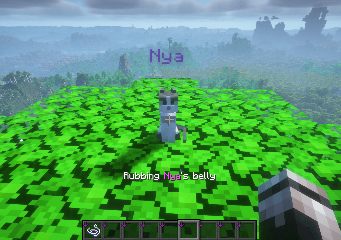 Cozy's Improved Cats - Minecraft Mods - CurseForge