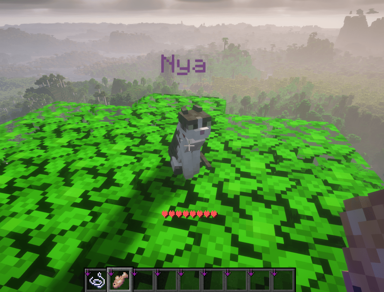 Cozy's Improved Cats - Minecraft Mods - CurseForge