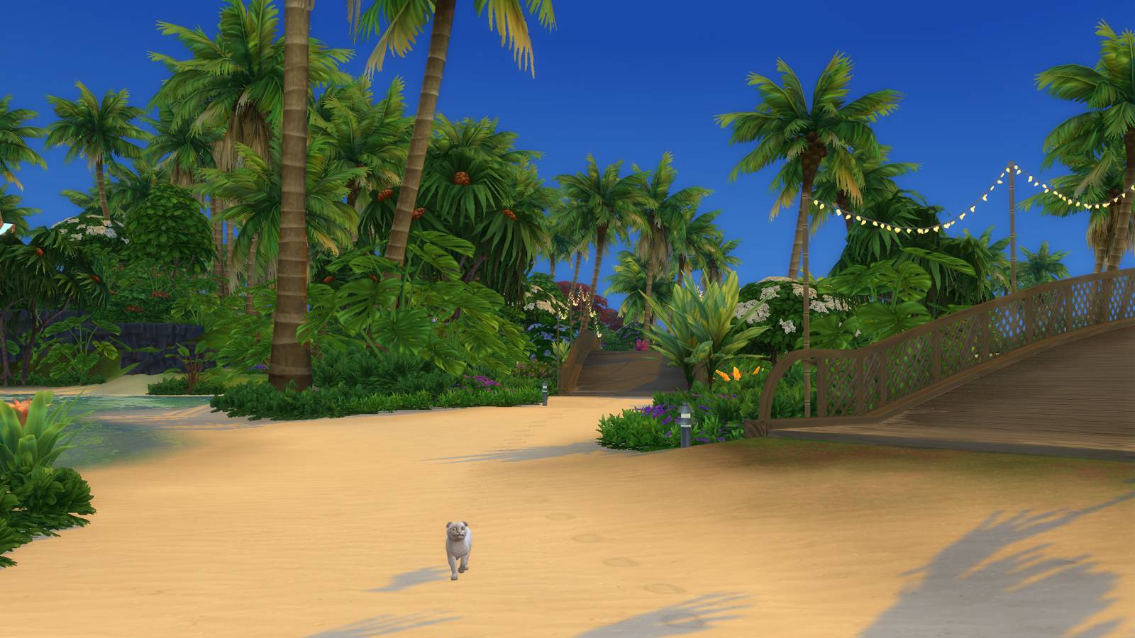 Stray Cats in Island Worlds - The Sims 4 Mods - CurseForge