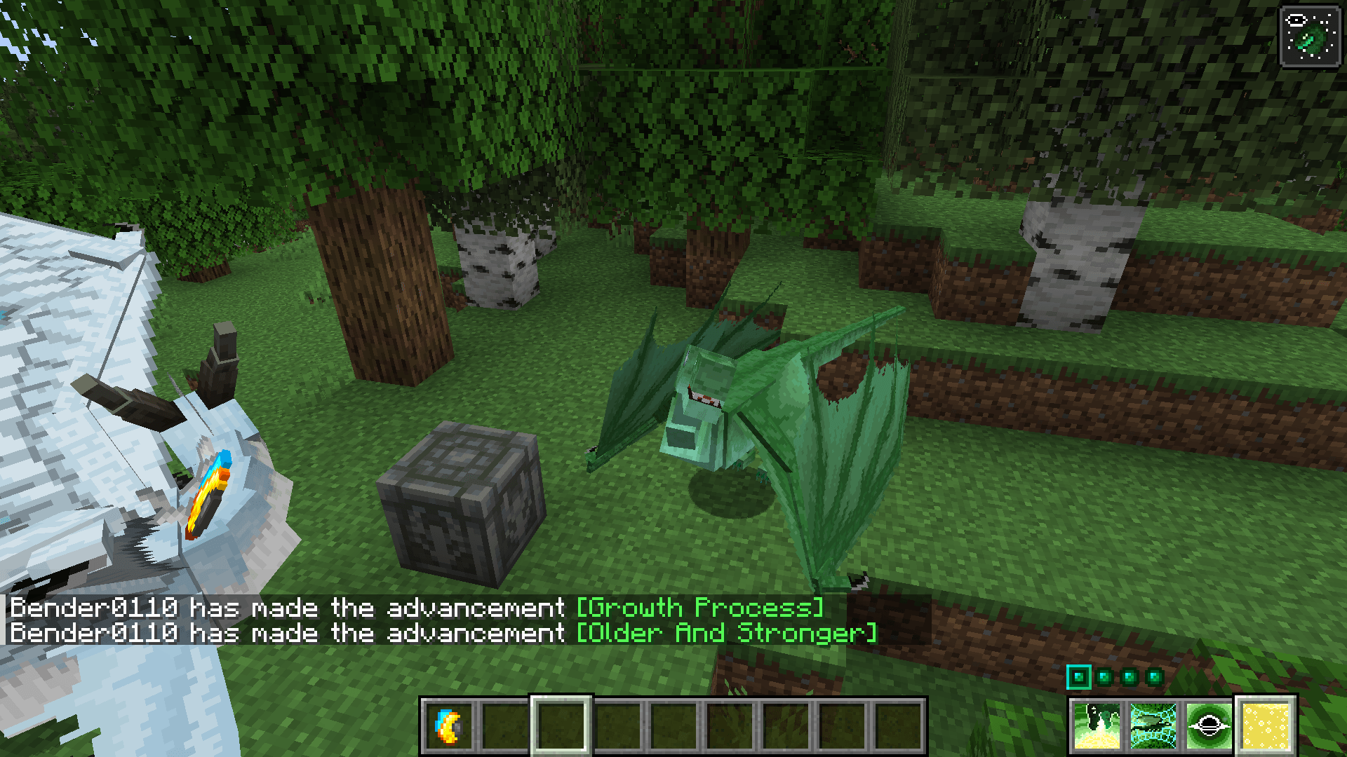 all types of dragons [dragon survival] - Gallery - Minecraft Modpacks ...