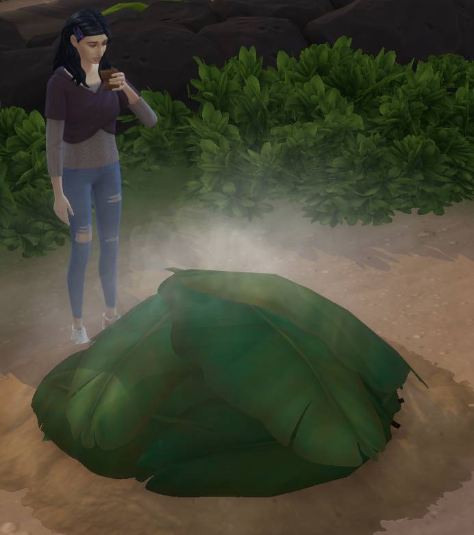 Better Island BBQ Pit Food Quality - The Sims 4 Mods - CurseForge