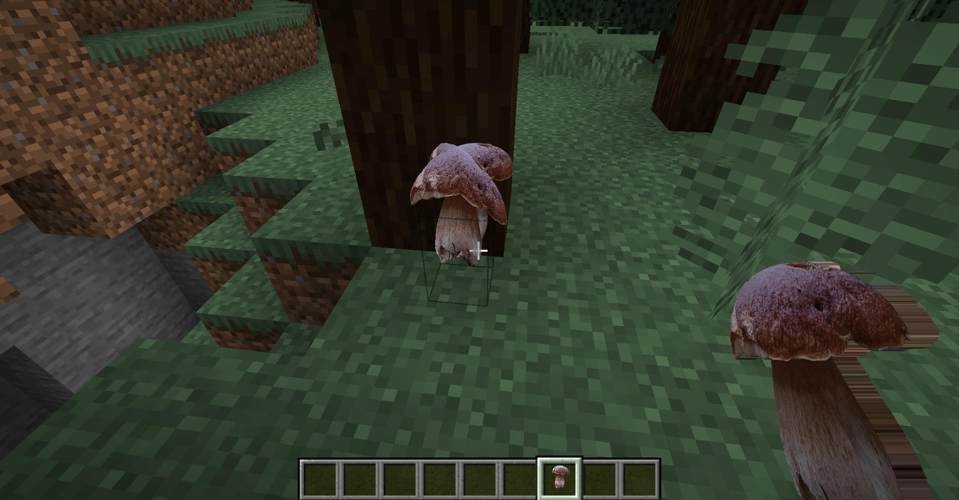 My Mushrooms - Gallery - Minecraft Mods - CurseForge