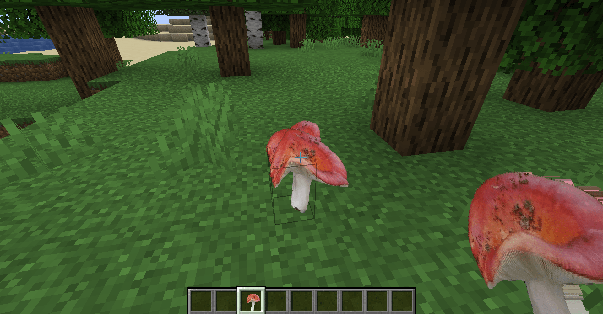 My Mushrooms - Gallery - Minecraft Mods - CurseForge