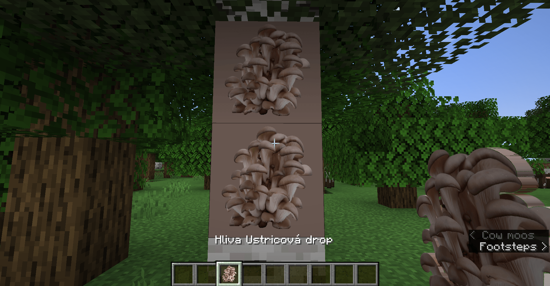 My Mushrooms - Gallery - Minecraft Mods - CurseForge
