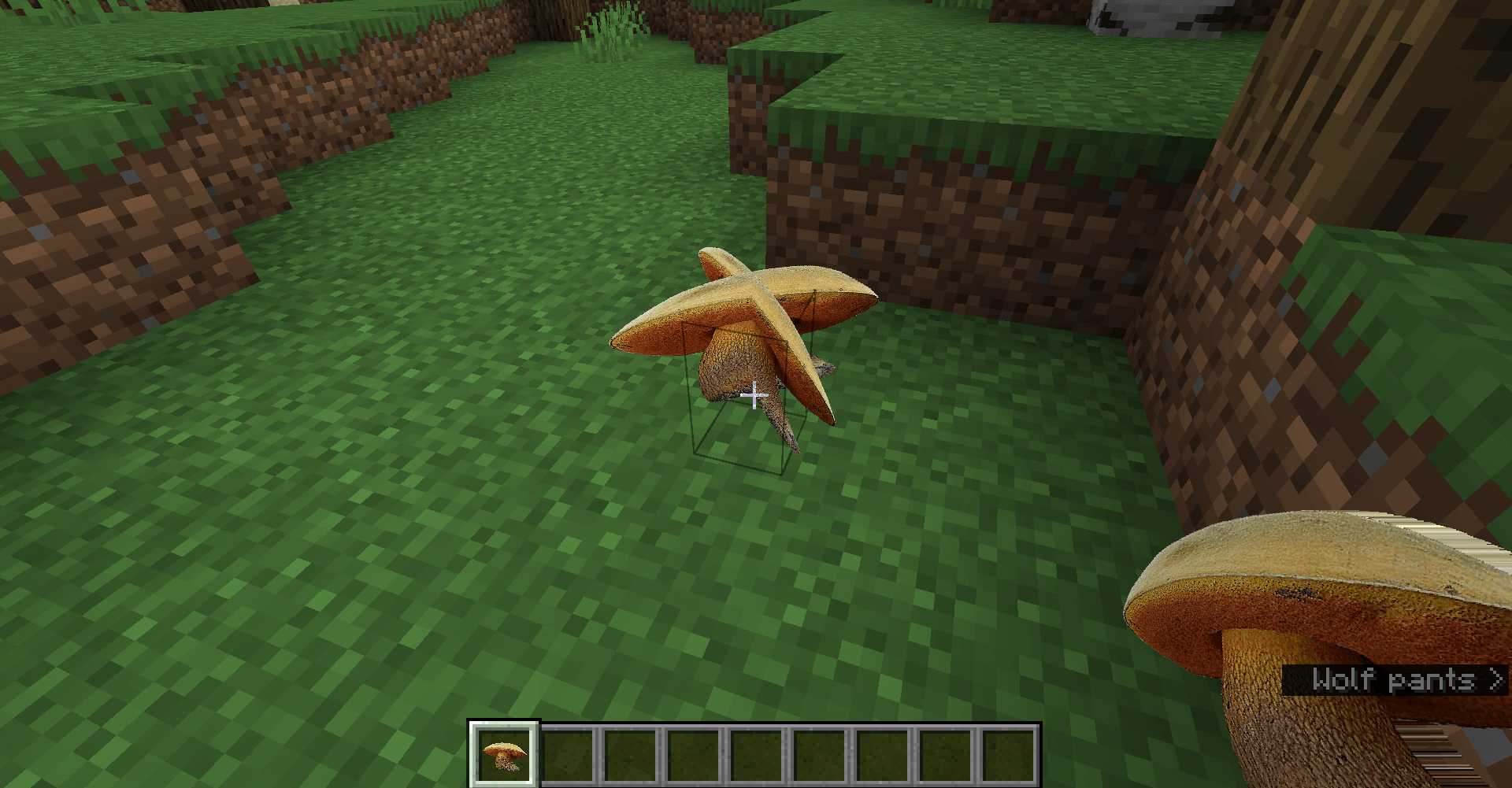 My Mushrooms - Gallery - Minecraft Mods - CurseForge