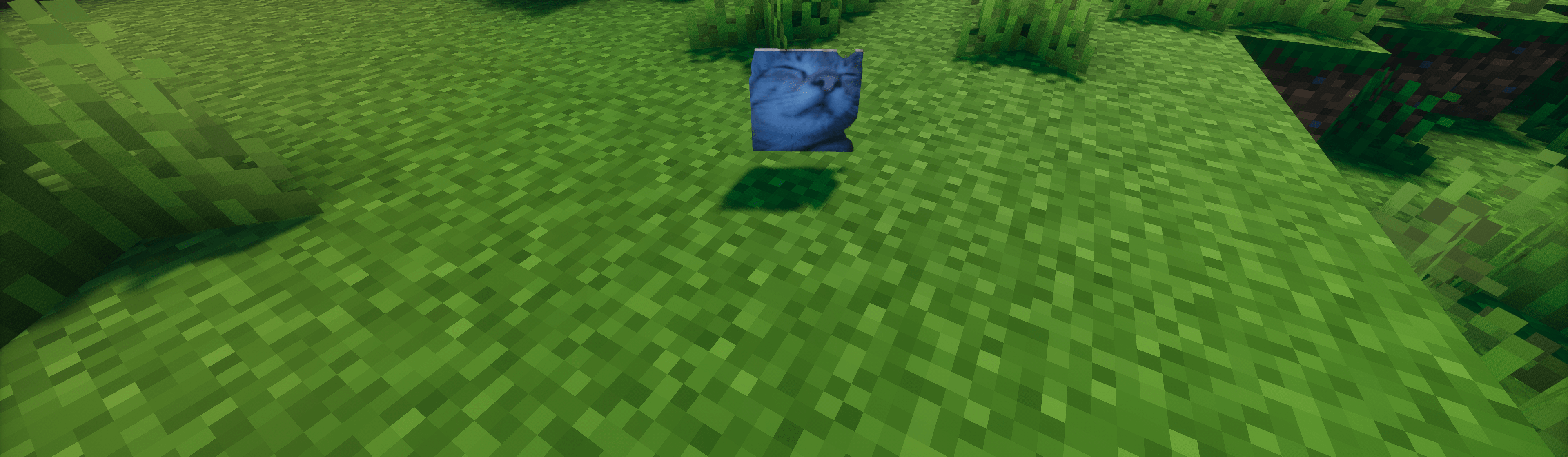 Cat Totem Pack - Gallery - Minecraft Resource Packs - CurseForge