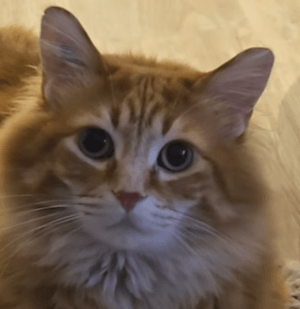 AIT Extras - Gallery - Minecraft Mods - CurseForge