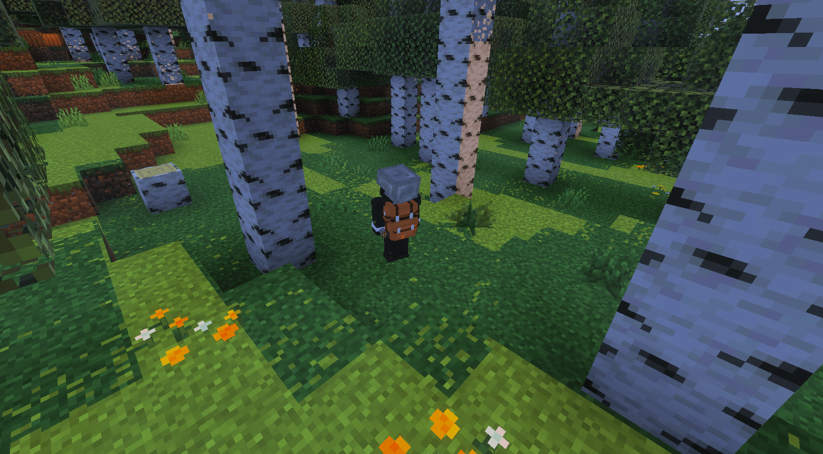 Travelers Extension - Gallery - Minecraft Bedrock Addons - CurseForge