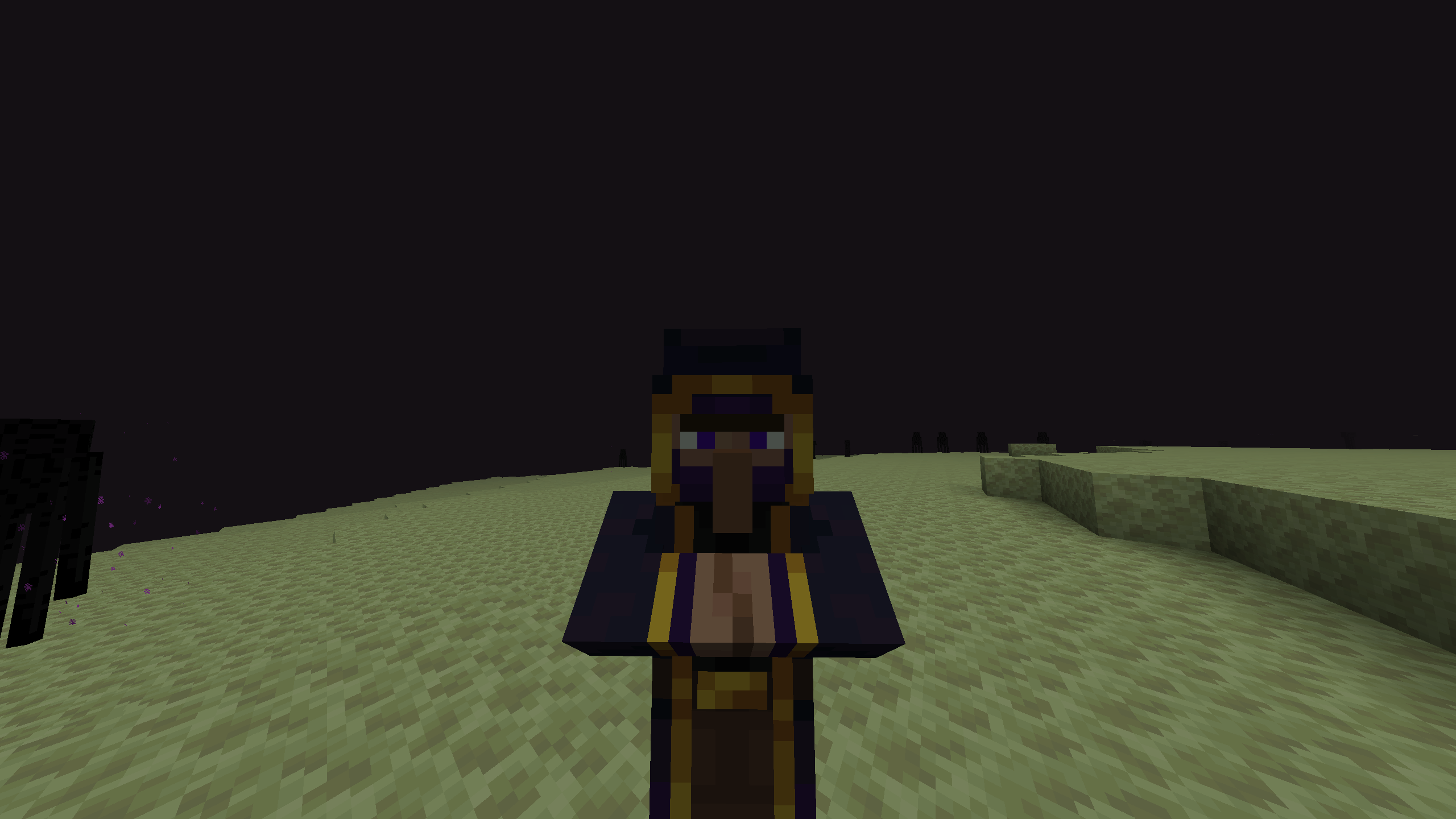 Thom's Wandering Traders - Gallery - Minecraft Mods - CurseForge