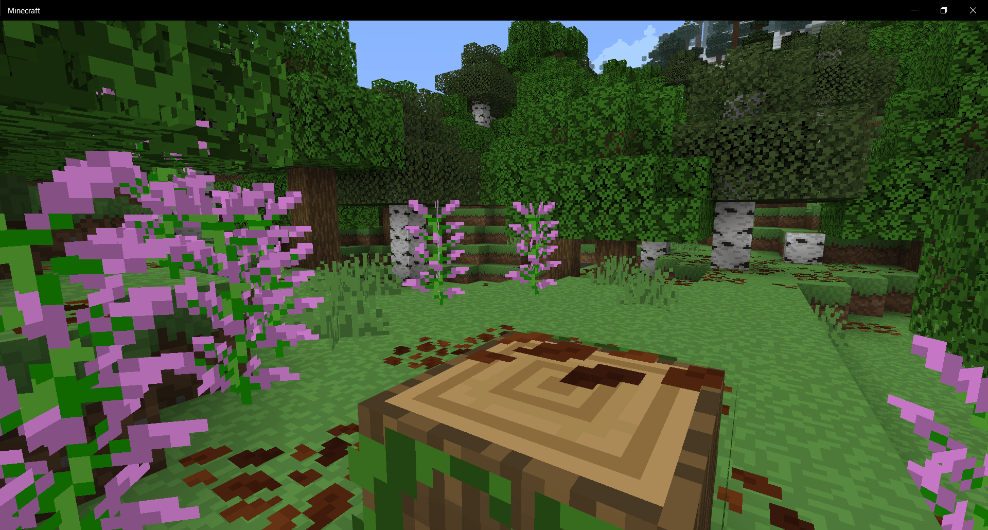 Smooth Pixels Texture Pack - Gallery - Minecraft Bedrock Texture Packs - CurseForge