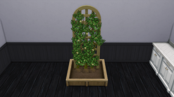 Polar Berry Harvestable - Gallery - The Sims 4 Mods - CurseForge