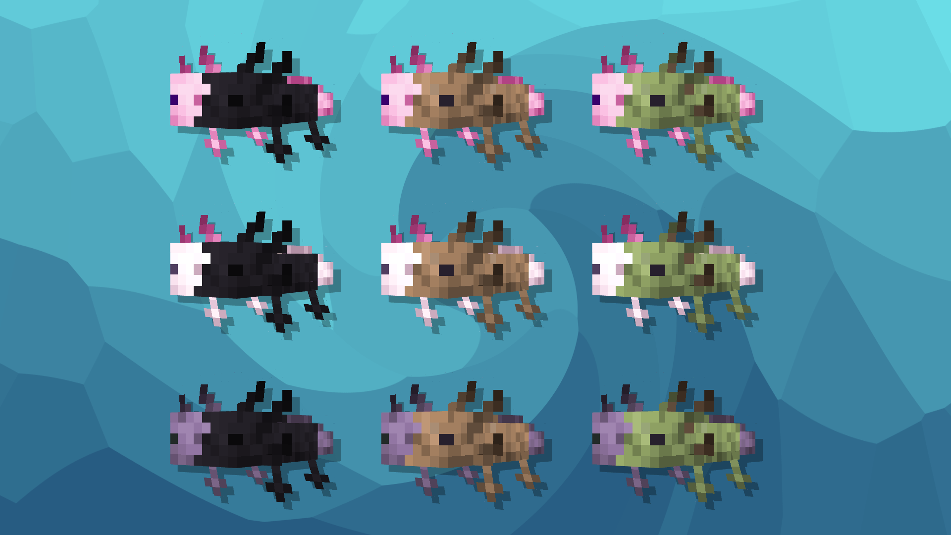 Amazing Axolotls - Gallery - Minecraft Bedrock Texture Packs - CurseForge