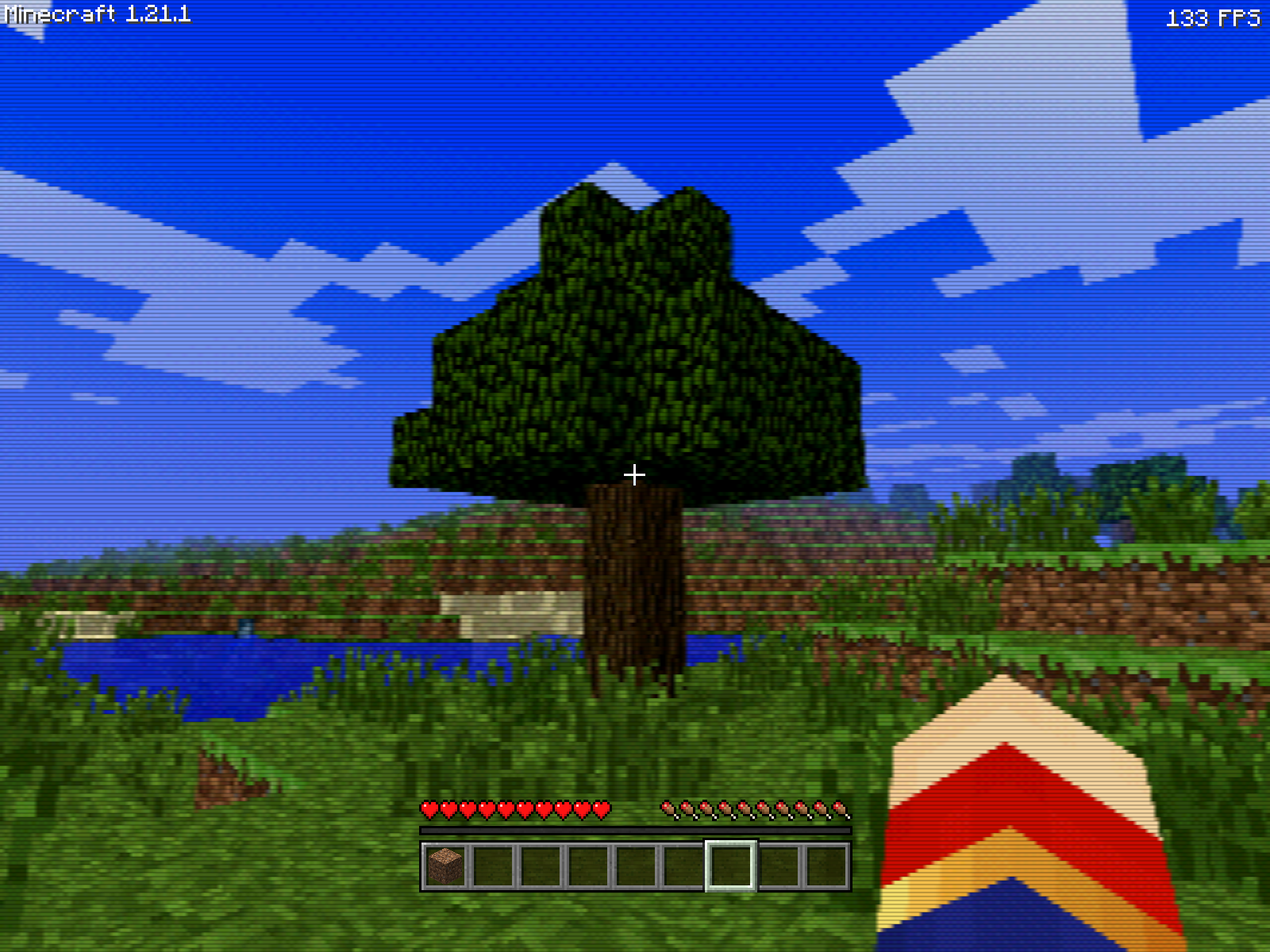 salmon's retro soup (minecraft, but it was made half a decade earlier ...