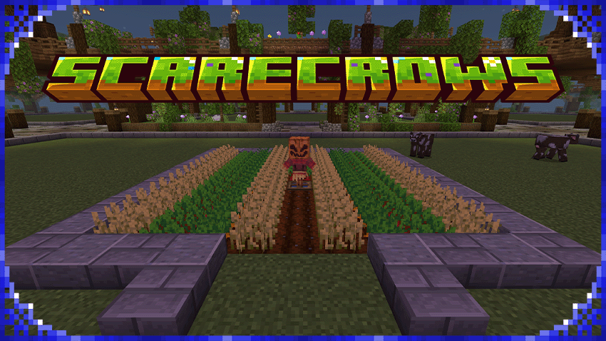 Random Placement | MCPEDL