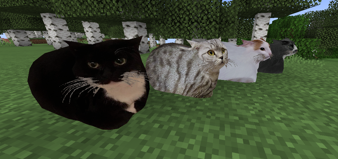 Maxwell the placeable cat - Minecraft Mods - CurseForge