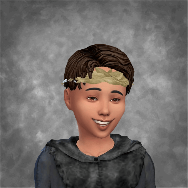 TSM Leaves Crown for All Ages - The Sims 4 Create a Sim - CurseForge