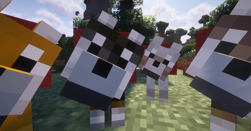 Shiba-dog - Gallery - Minecraft Resource Packs - CurseForge