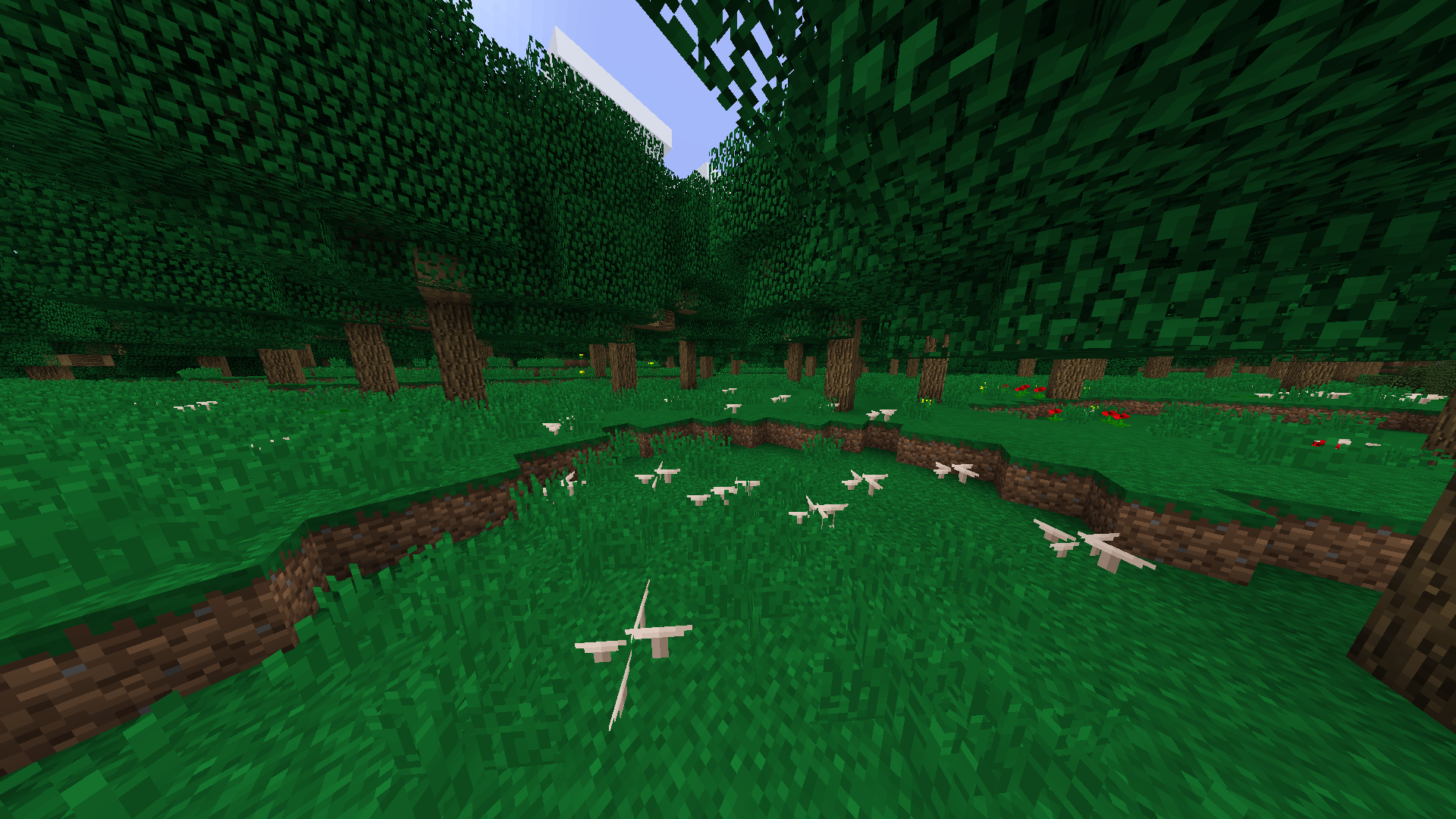 Nanex's Big Forest Biome - Minecraft Mods - CurseForge