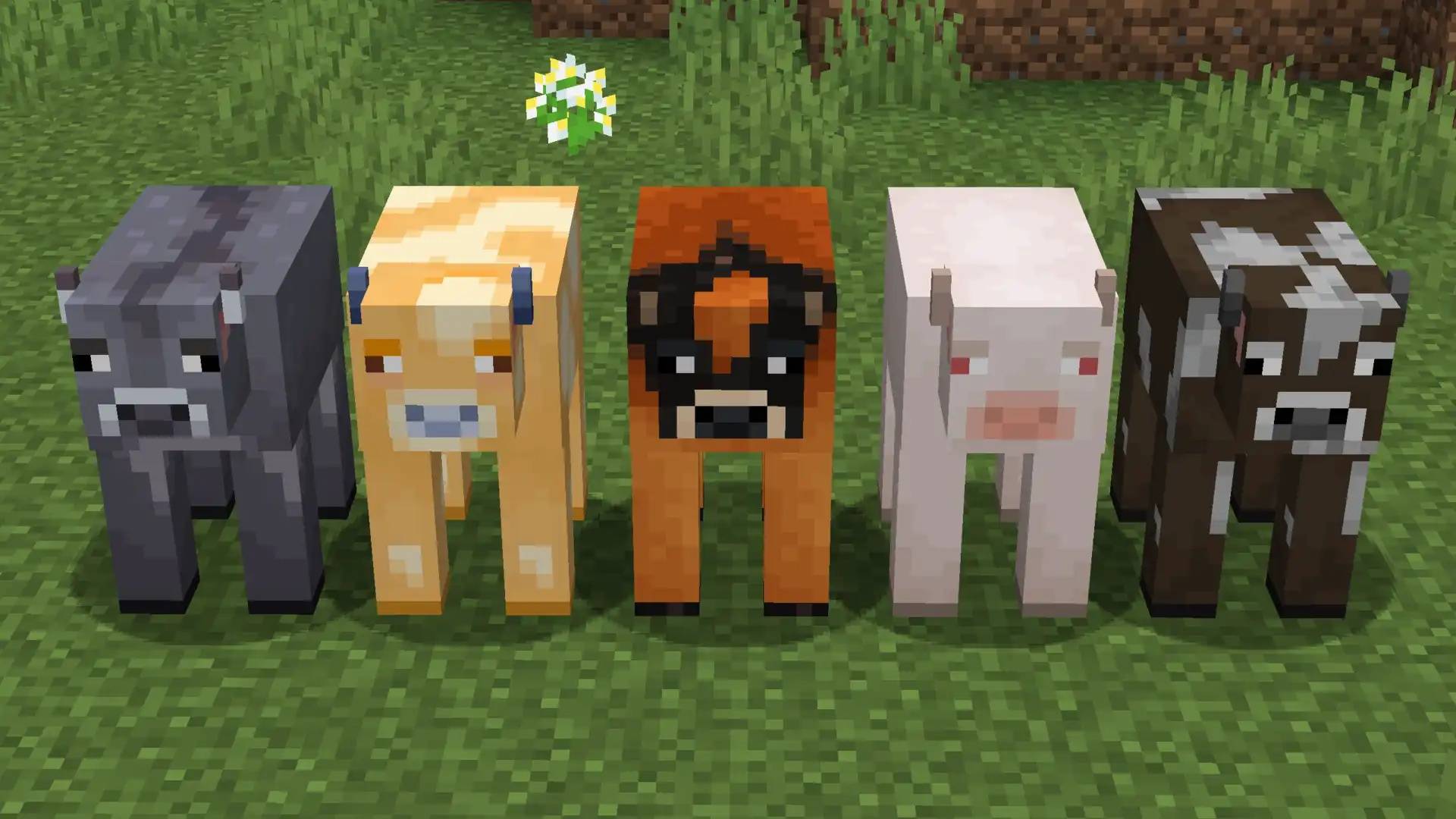 Example Random Entity Textures - Minecraft Resource Packs - CurseForge