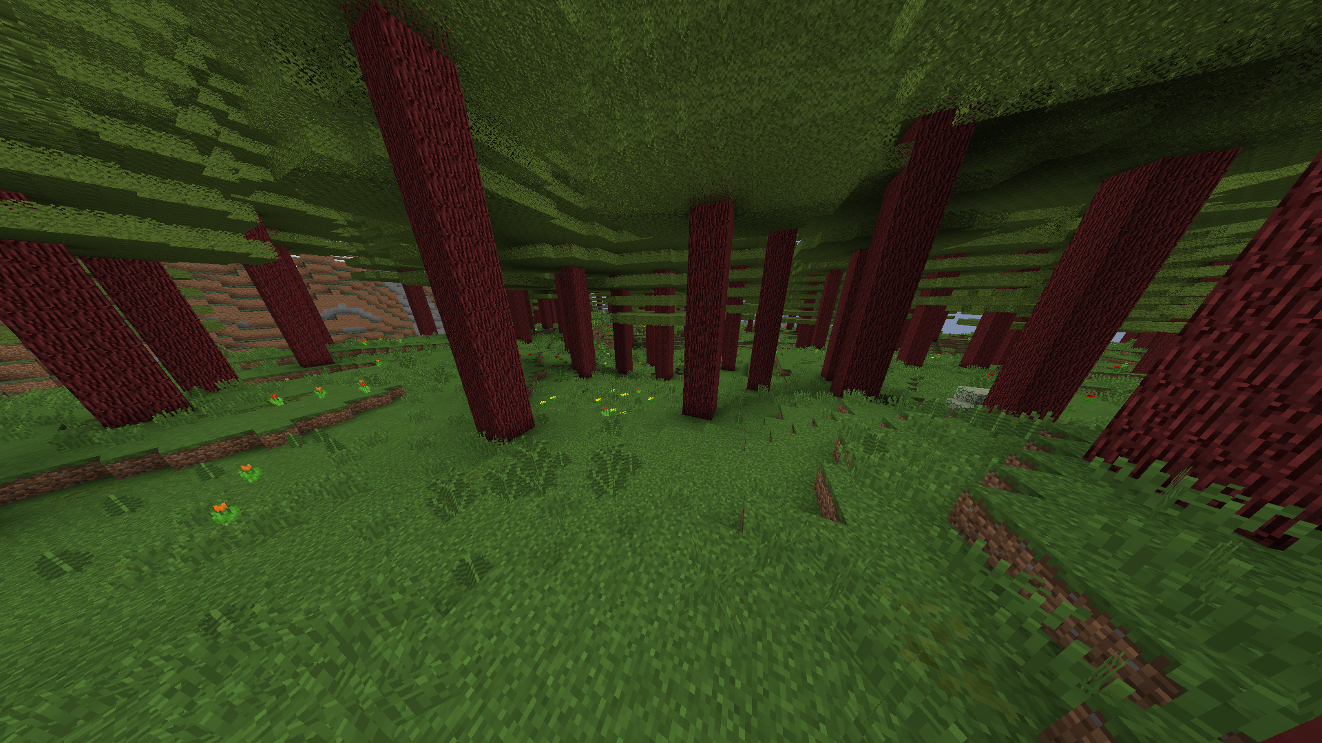 Nanex's Redwood Biome - Gallery - Minecraft Mods - CurseForge
