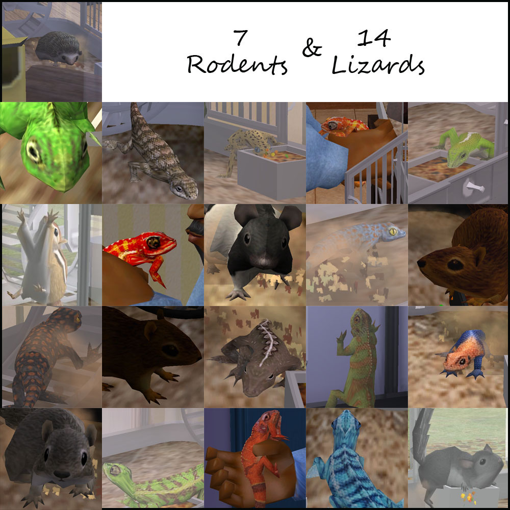 Lizards & Rodents - The Sims 2 Mods - CurseForge