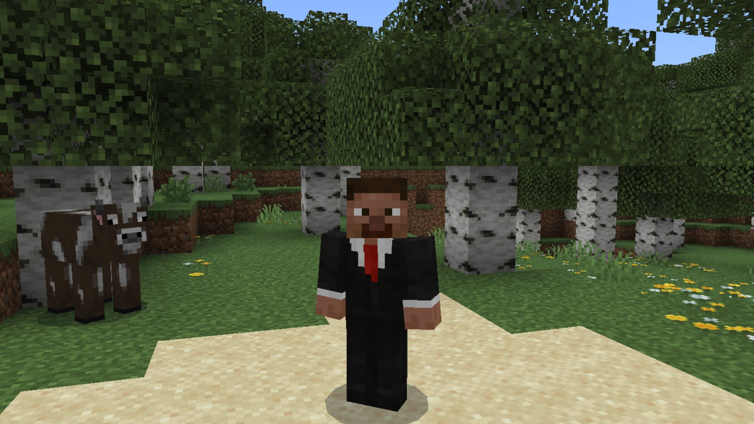 Player Genders - Gallery - Minecraft Bedrock Addons - CurseForge