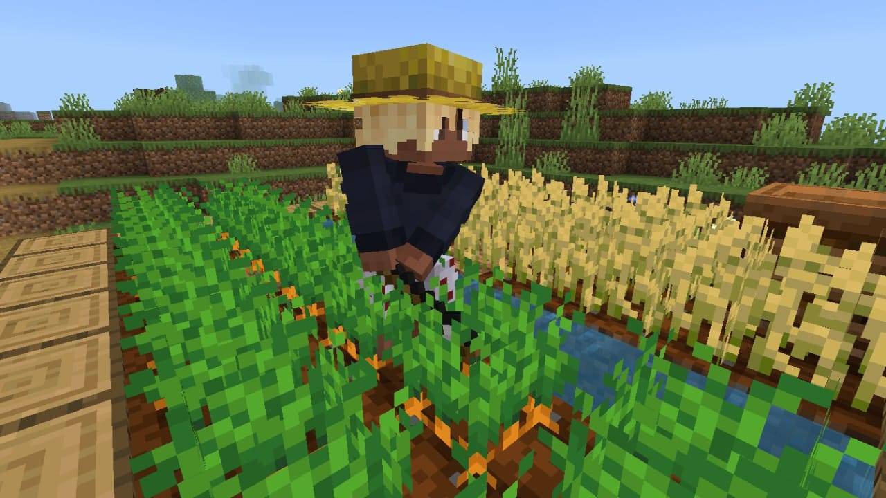 Straw Hat - Gallery - Minecraft Bedrock Texture Packs - CurseForge