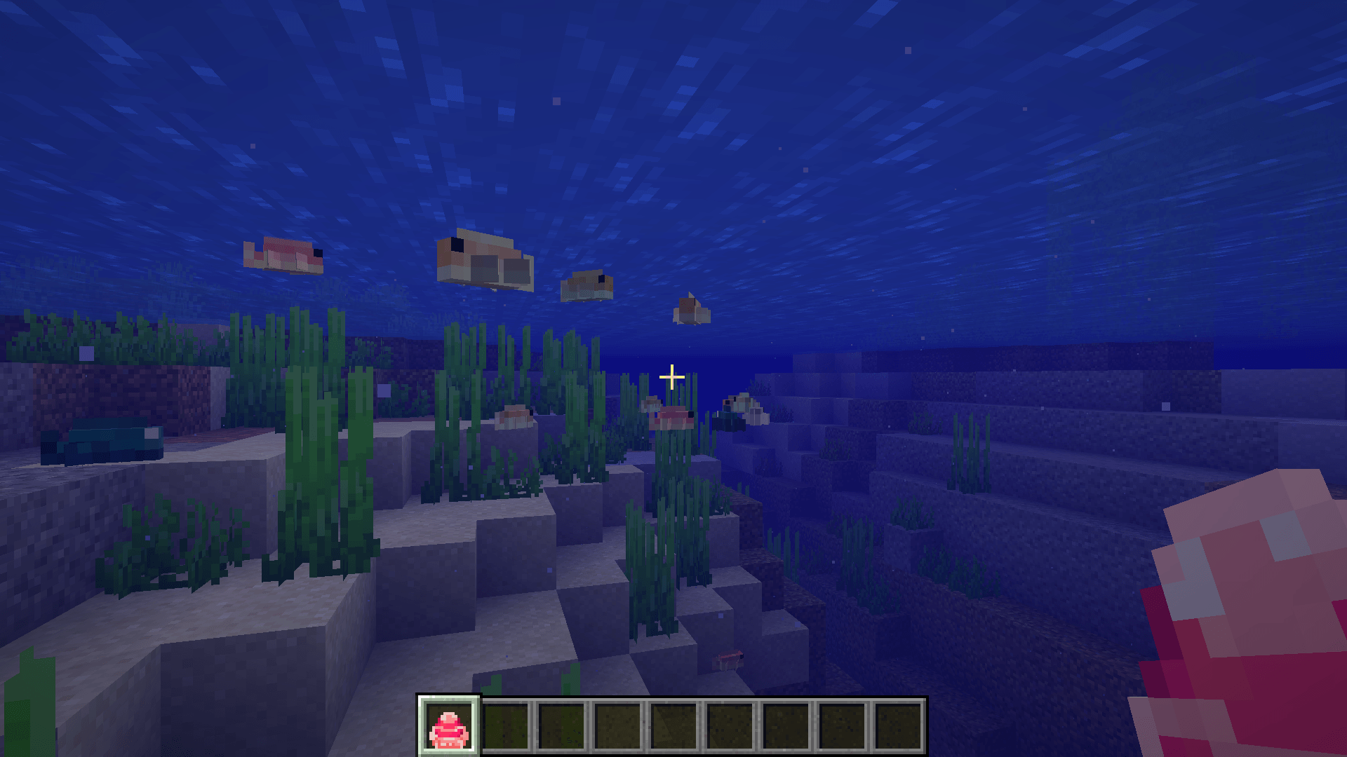 Koifish - Minecraft Mods - CurseForge