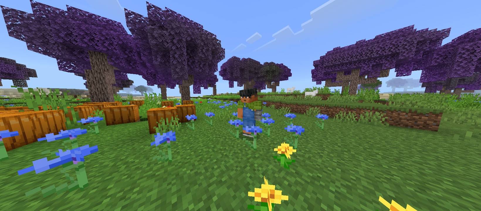 Magnific Regions addon - Gallery - Minecraft Bedrock Maps - CurseForge
