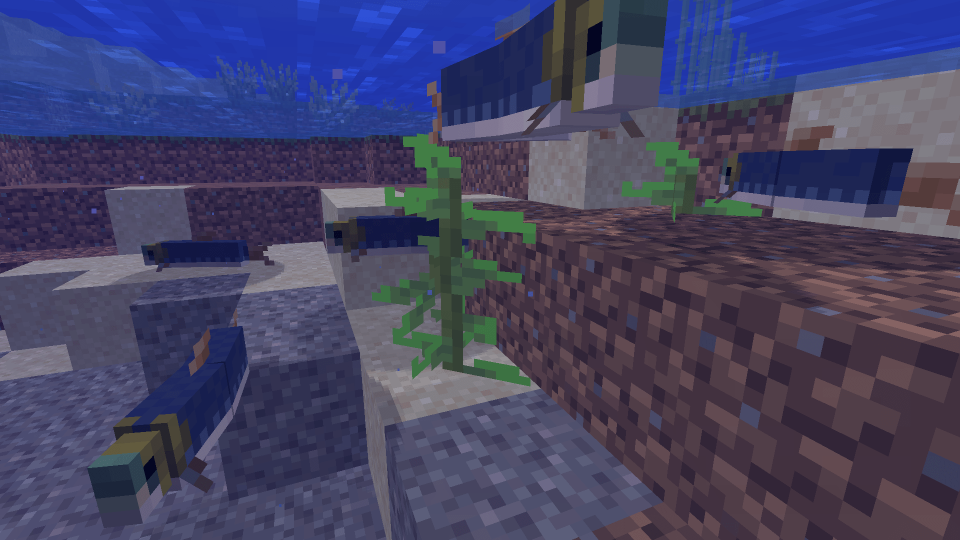 Kelp Eater - Minecraft Mods - CurseForge