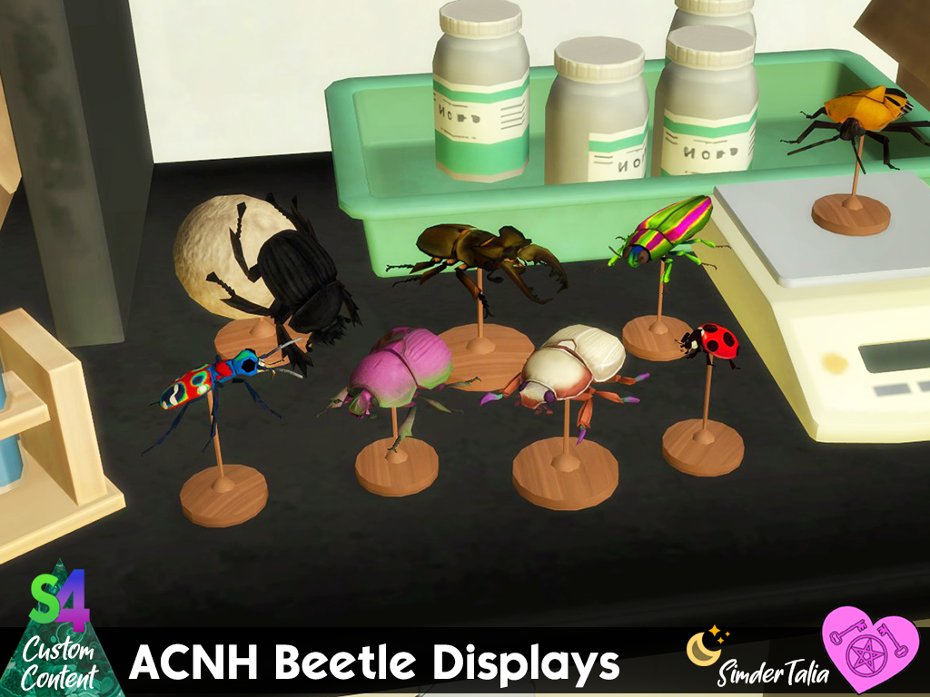 Beetle Displays - Gallery - The Sims 4 Build / Buy - CurseForge