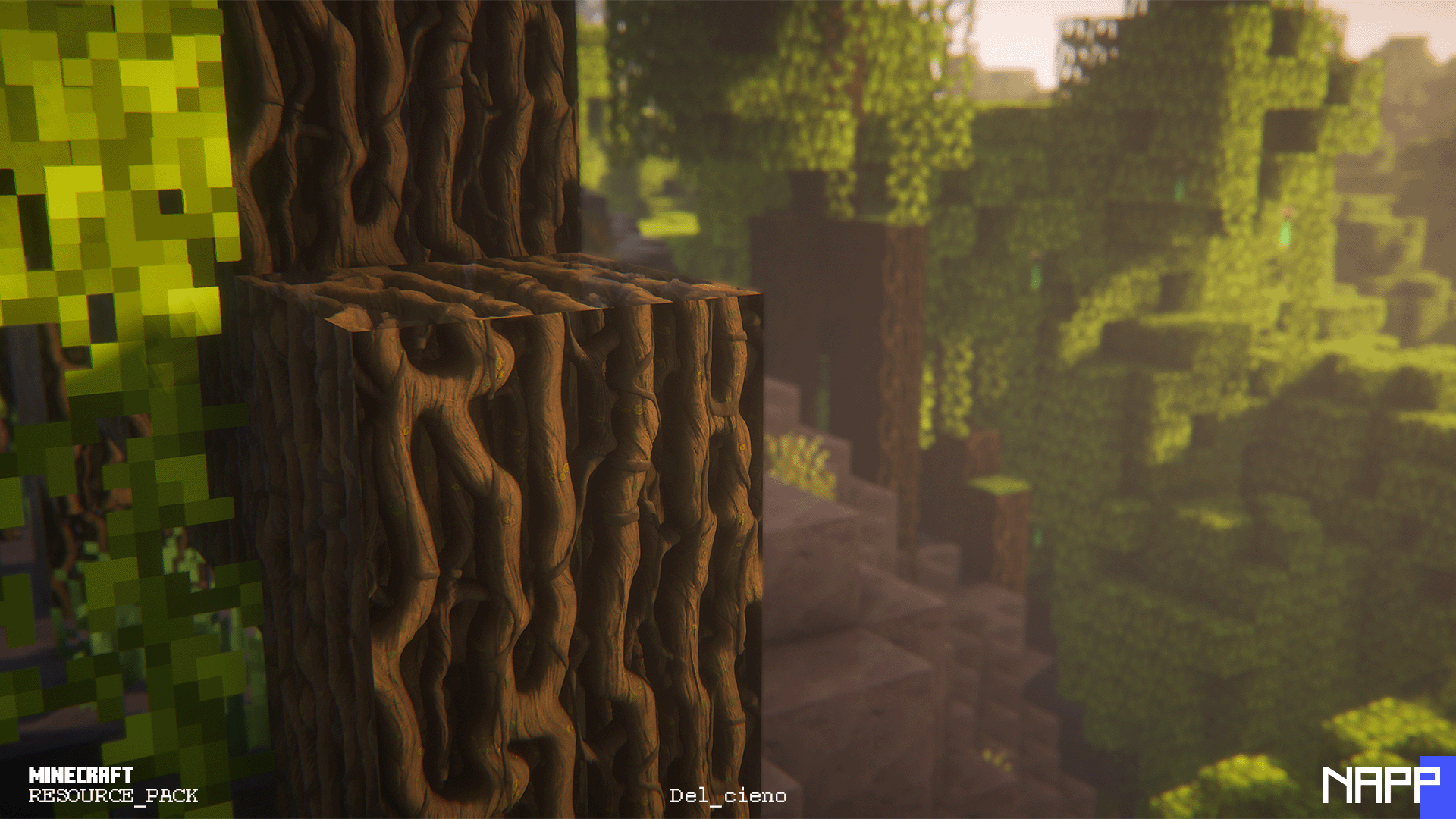 NAPP - Minecraft Resource Packs - CurseForge