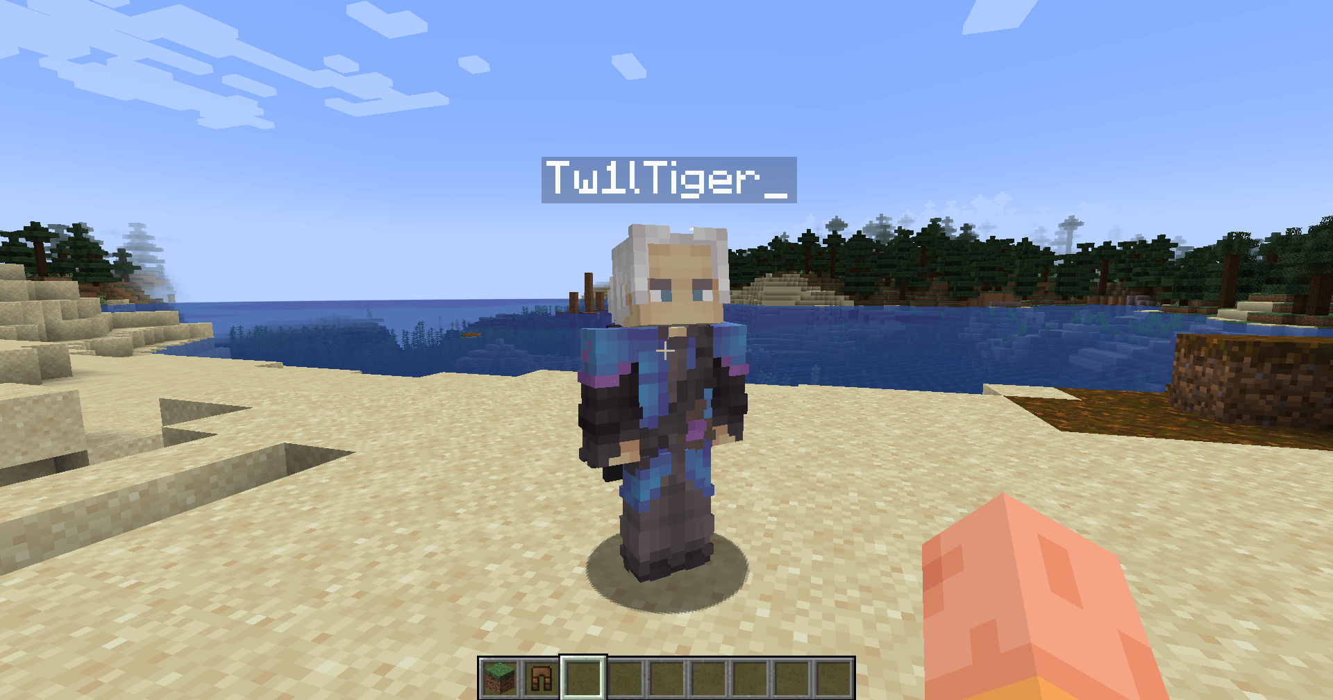 Hide Your Hands - Minecraft Mods - CurseForge