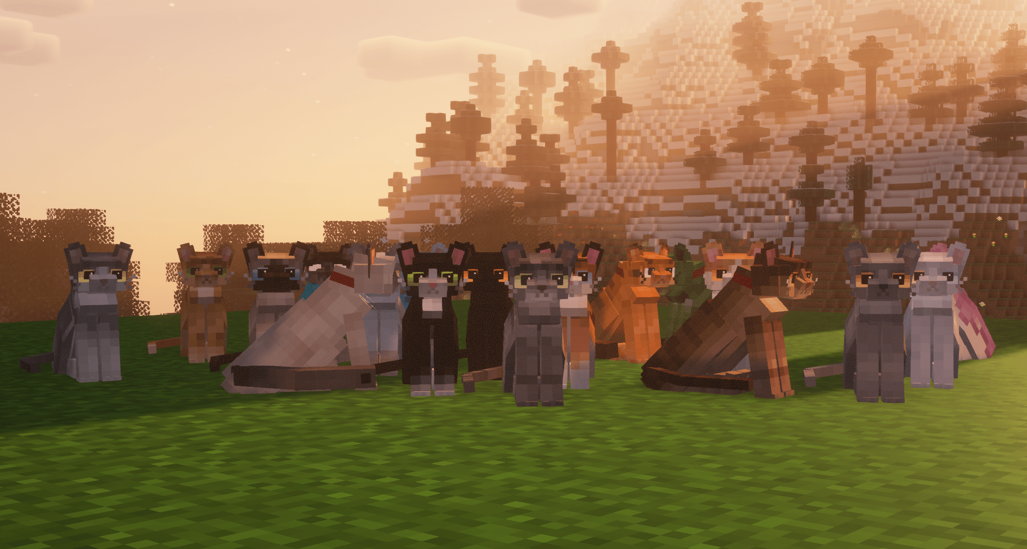 Refined Cats - Minecraft Resource Packs - CurseForge