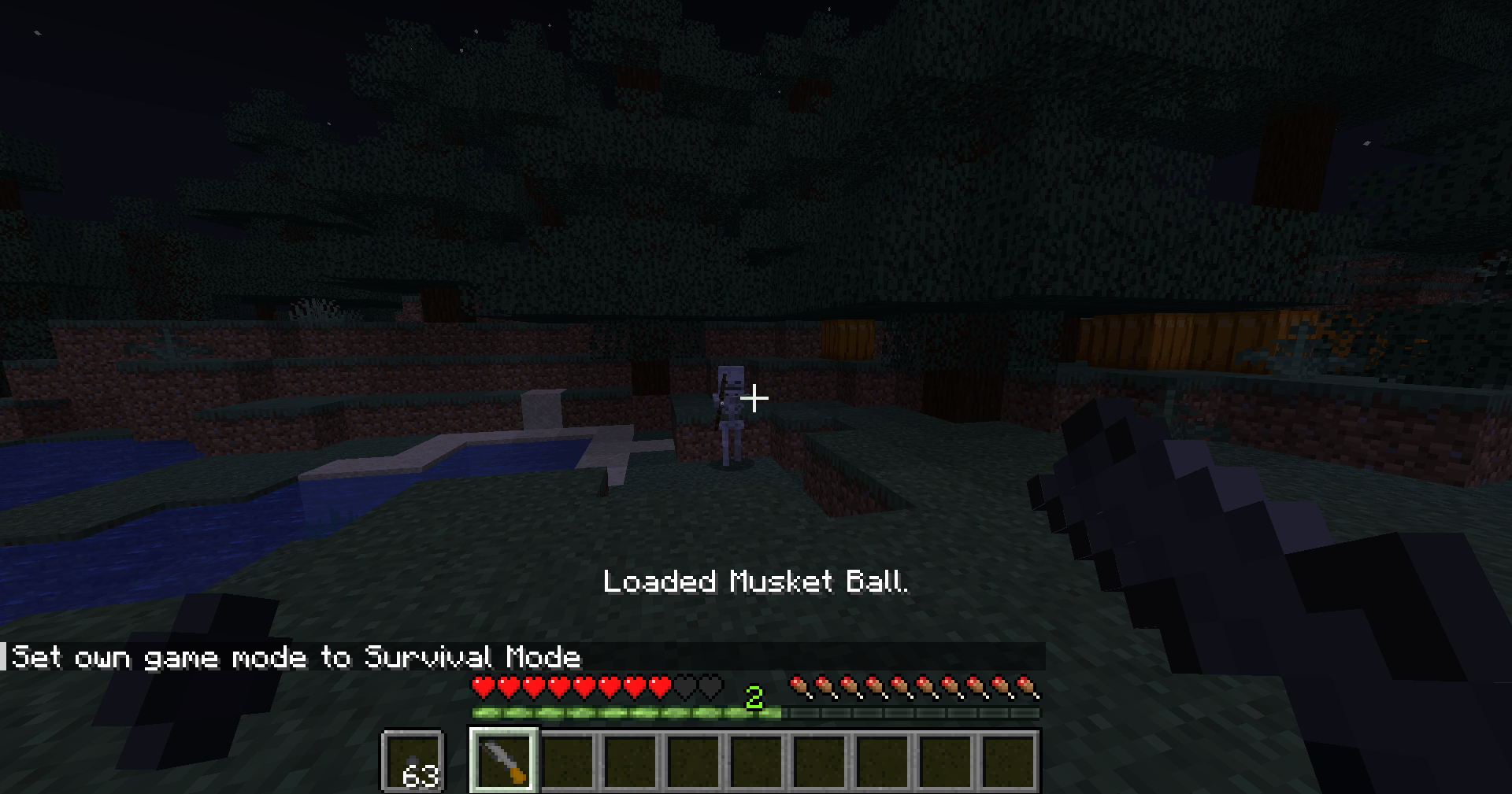 Musket - Minecraft Mods - CurseForge