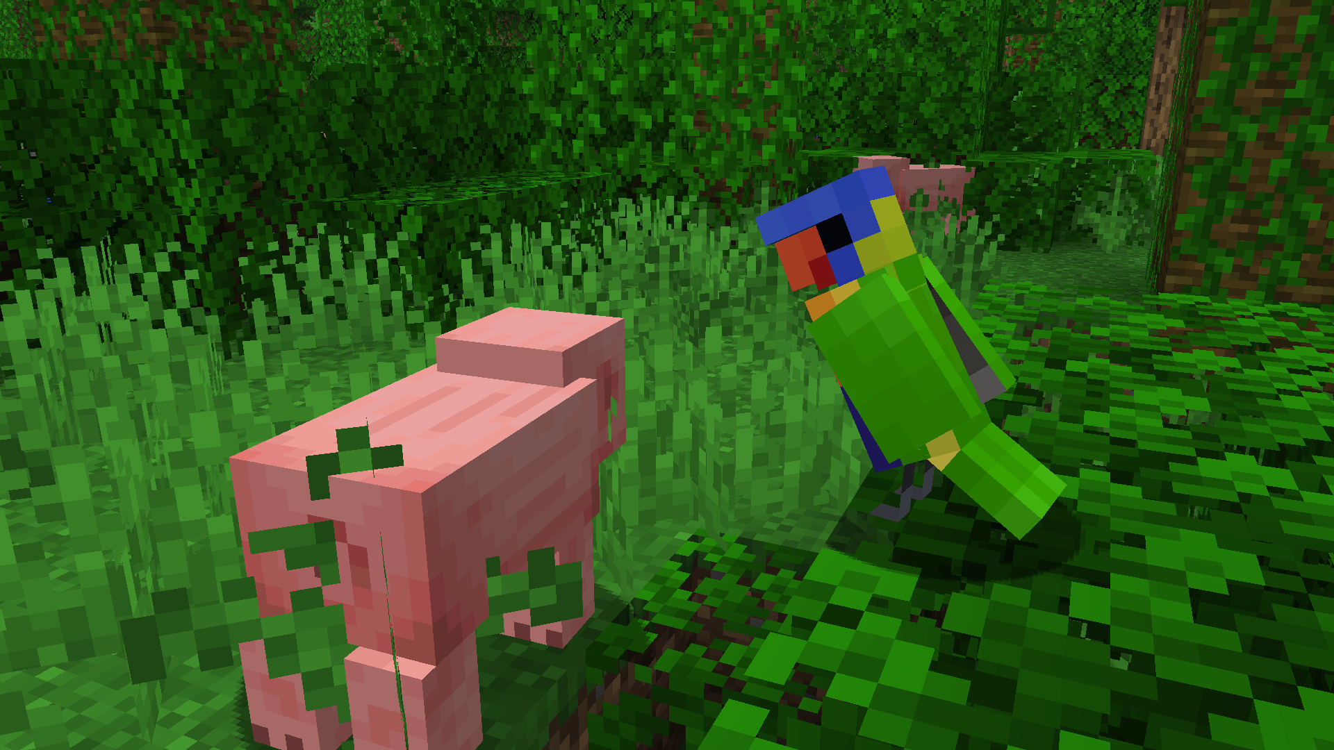 Aussie Parrots - Gallery - Minecraft Resource Packs - CurseForge