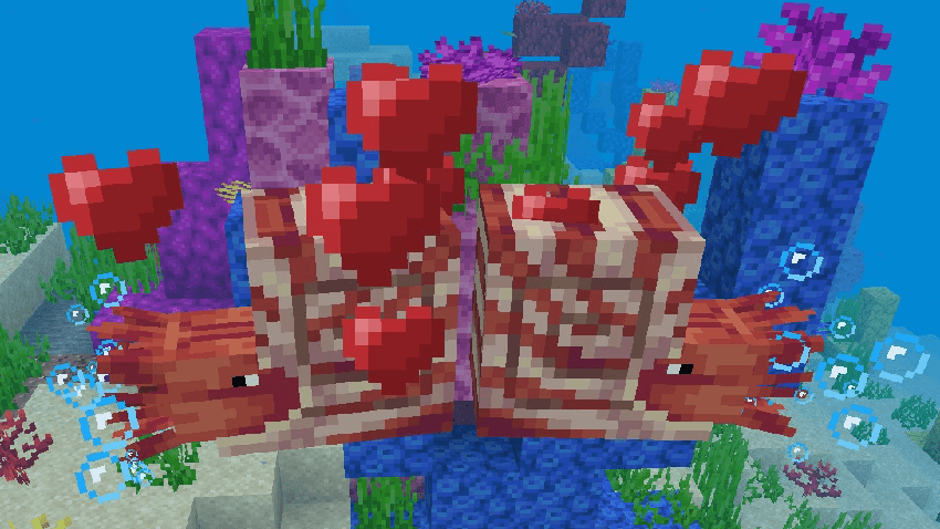 Nautilus of Mayhem Add-On - Gallery - Minecraft Bedrock Addons - CurseForge