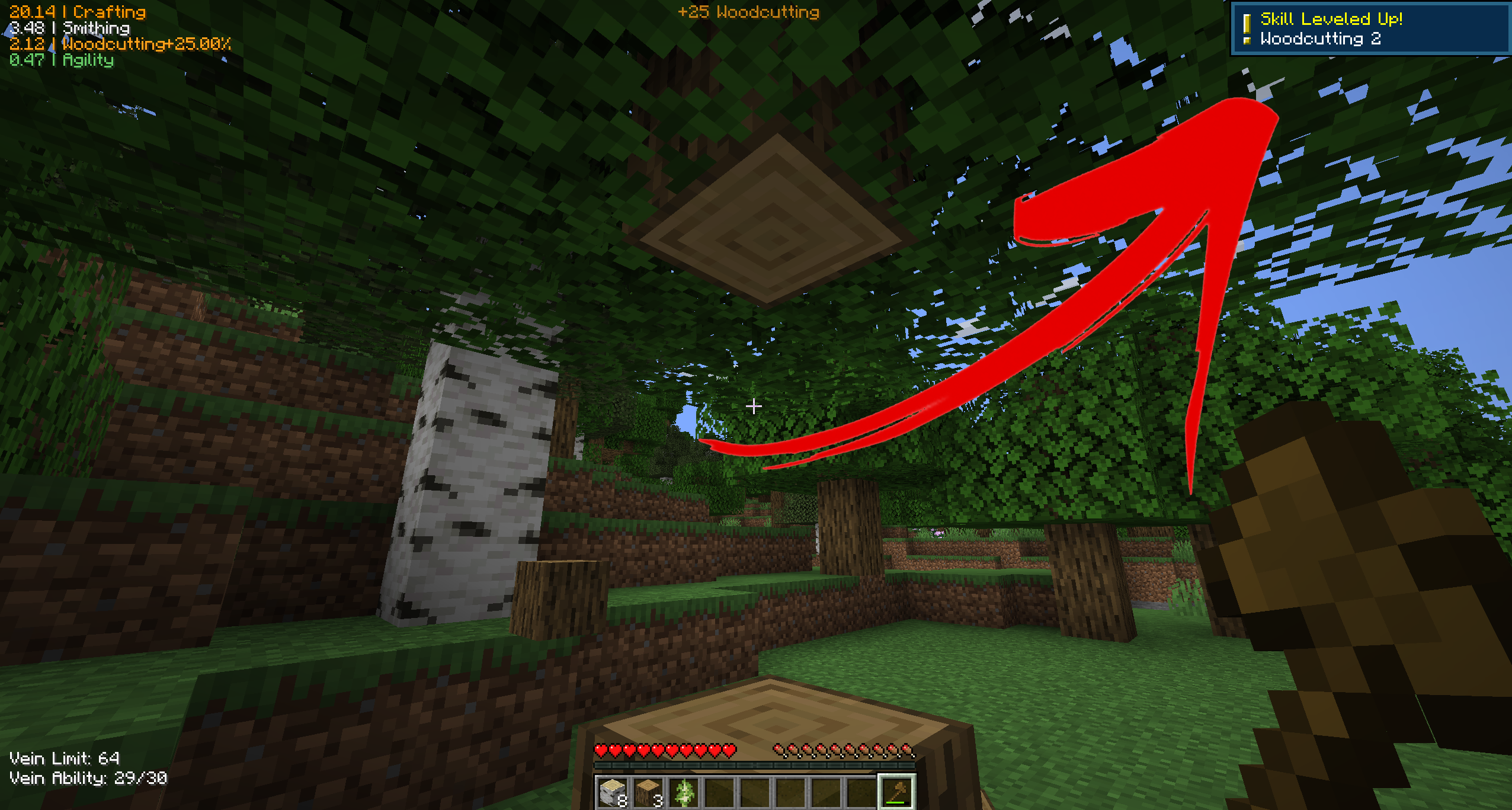 Project MMO Skill Toast - Gallery - Minecraft Mods - CurseForge