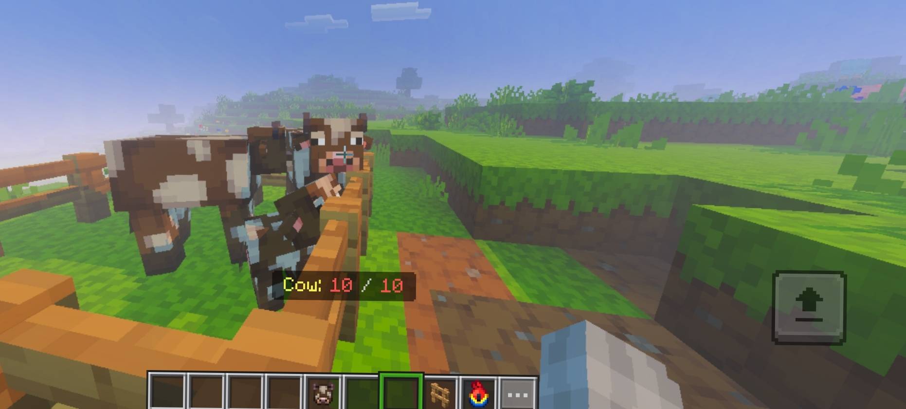 Health HUD - Gallery - Minecraft Bedrock Scripts - CurseForge